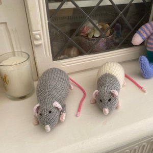 Rat Knitting Pattern PDF Cute Toy Domestic Rats Cuddly Beginners Knit ...