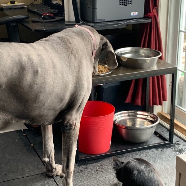 Elevated Dog Feeding Table for Large Size Dog / Raised Feeder for Big ...