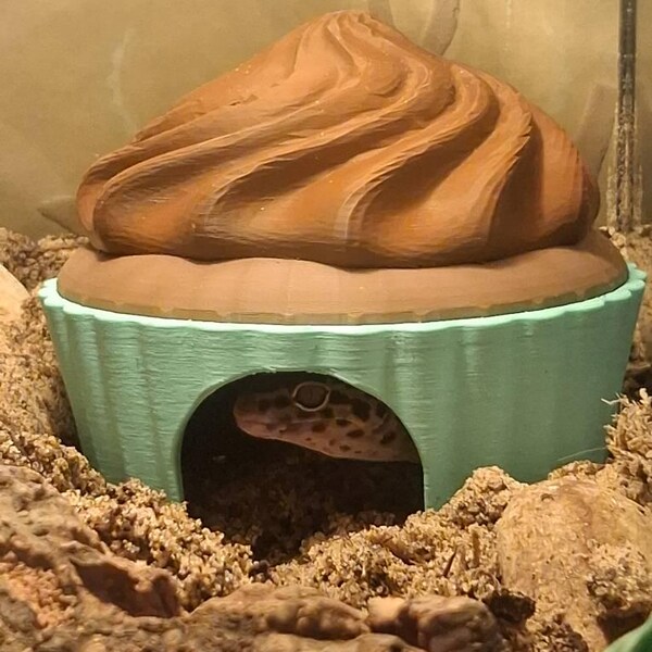 Reptile Climbing Ramp, Bearded Dragon Basking Platform, Rock Wall ...