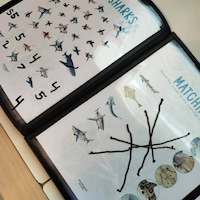 DESERT ANIMALS Flash Cards | Vocabulary Builder | Montessori Inspired ...