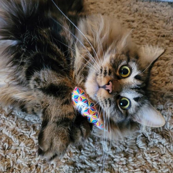 Cat Fin 5 Pack - FIVE (5) Cheerful Assorted Cat Pyramid Toys - Organic ...