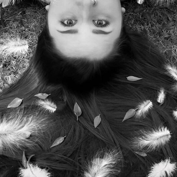 White Feather Overlays, Falling Feathers Overlay, Floating Feathers ...