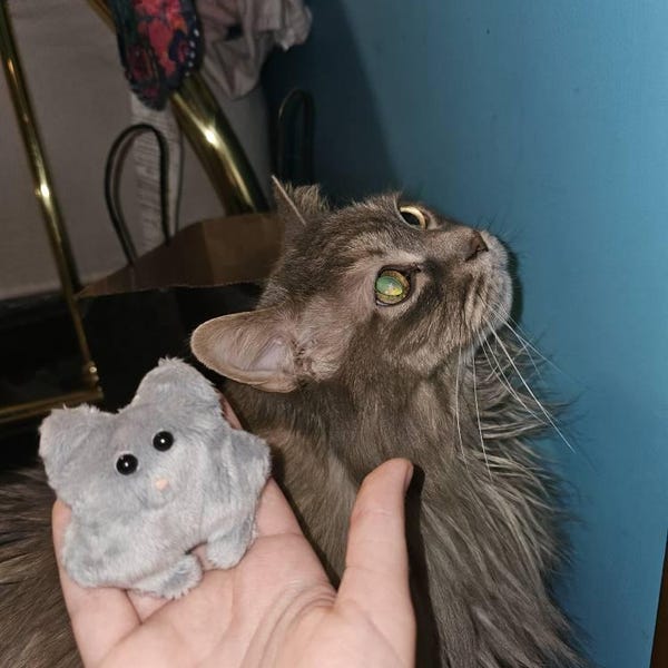 Pocket Rabbit Plush, Anti-stress Worry Pet, Gift for Best Friend ...