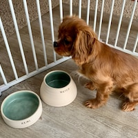 Left Handed Coffee Mug Tea Cup in Stoneware Hand Thrown - Etsy UK