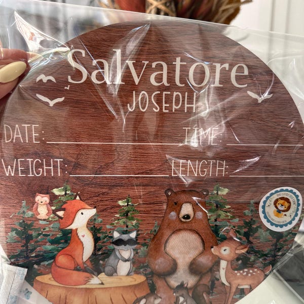 Butterfly Milestone Cards, Baby Milestone Butterfly Discs Marker, Wood ...