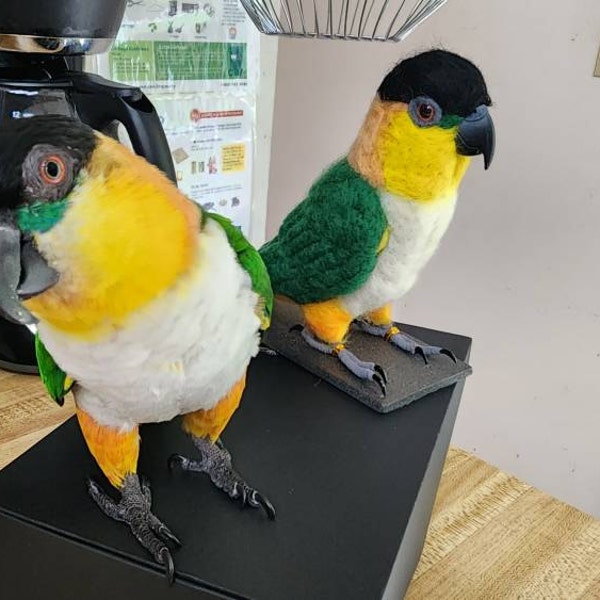 Cockatiel ・1 :wool Parakeet stuffed Animals - Etsy