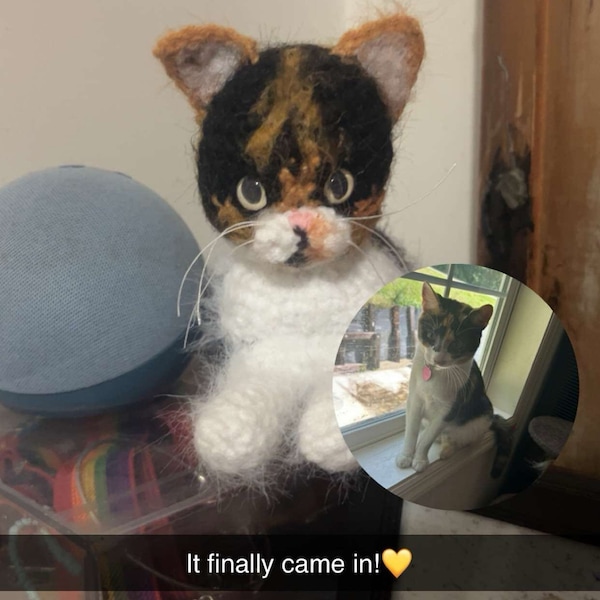 Custom Cat Plush, Custom Crochet Cat, Custom Stuffed Cat, Custom Pet ...