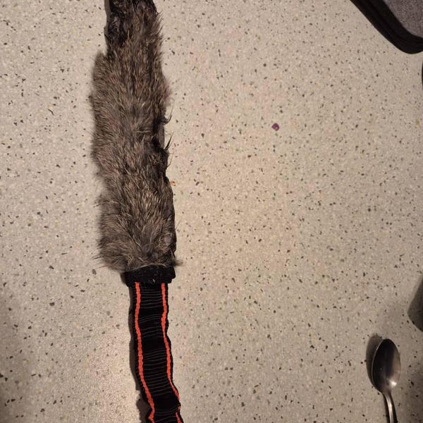 Paws Made Bunny Bungee Rabbit Fur Dog Tug High Reward Agility Flyball ...