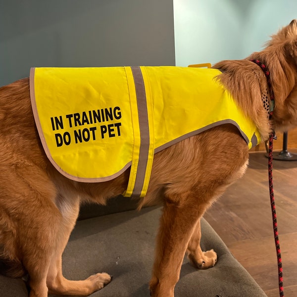 Personalised High Vis Dog Coat Custom Printed Hi Viz Pet Safety Vest ...