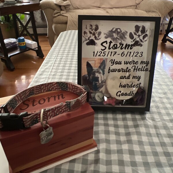 Personalized Pet Memorial Shadow Box, Sympathy Frame, 3D Paw Print ...