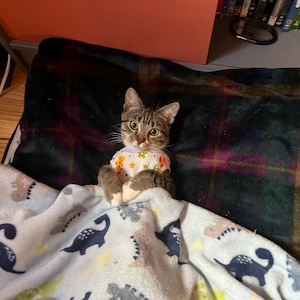 100% Done With Life - Etsy