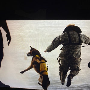 Pug on Lt Blue Dog Art Print of Original Painting by Dottie | Etsy