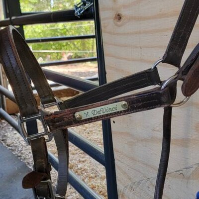 Custom Engraved SILVER Tack, Bridle, Martingale Plate - Etsy