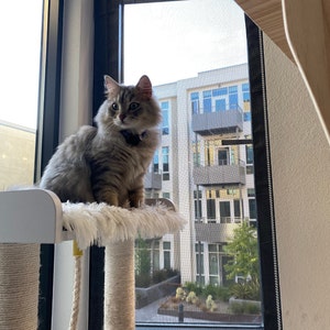 Custom Flat Cats Window Screens Mesh Window Protection for Cats - Etsy