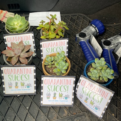 School Would SUCC Without You Succulent Gift Tag, Staff Teacher ...