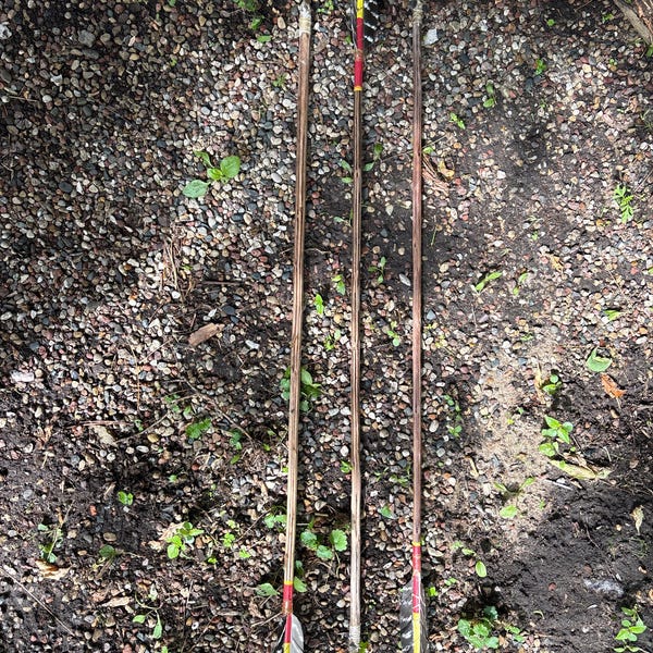 Tanned Beaver Pelt Primitive Quiver Kit or Wallhanging!! - Etsy