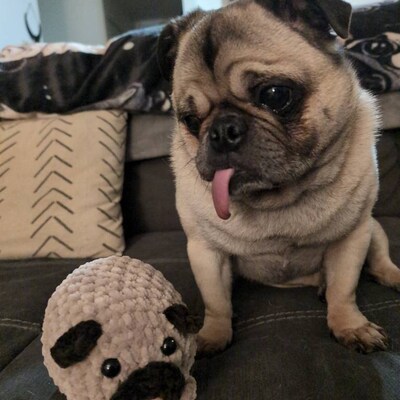 Crochet Potato Pug Dog Chenille Yarn Pug Puppy Amigurumi Plushie Angel ...