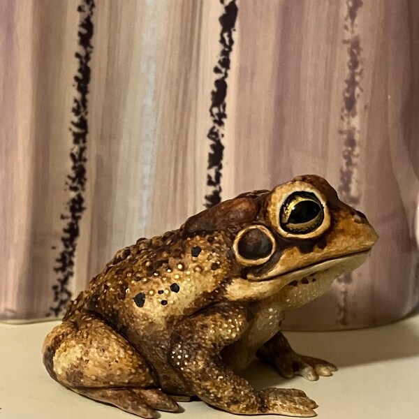 Sad Avocado Realistic Black Rain Frog Friend Deskpal - Etsy Canada