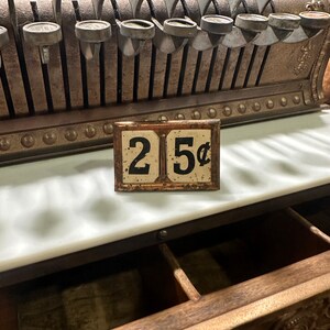 Bill Neat Raccoon Drawing Framed Forest Art 14 1/2 x 11 1/2 - Etsy