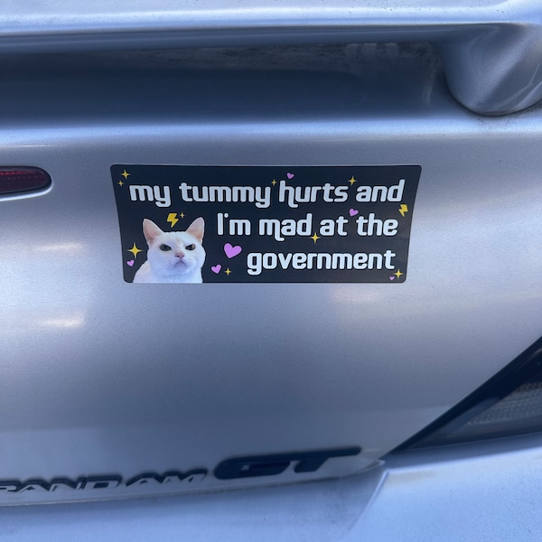 My Tummy Hurts and I’m Mad at the Government 7" Bumper Sticker or ...