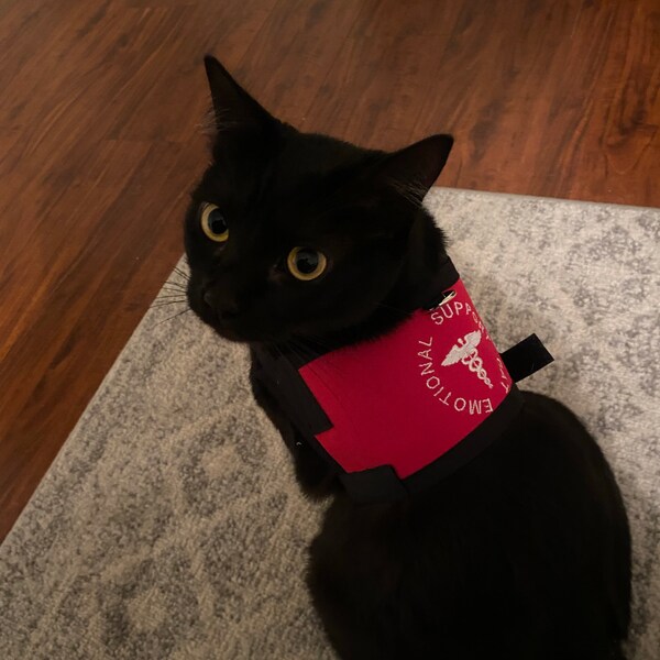 Emotional Support Cat Vest - Etsy