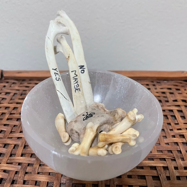 10 Coyote Toe/foot Bone Metatarsals Bones Craft Supplies Hairpipe Beads ...