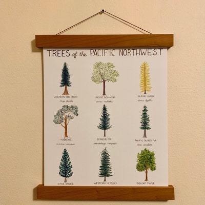 Pacific Northwest Trees Art Print / Washington State Art / Trees Art ...