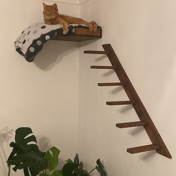 UK Handmade Cat Ladder: Wall or Fence Mounted Climber Steps - Etsy