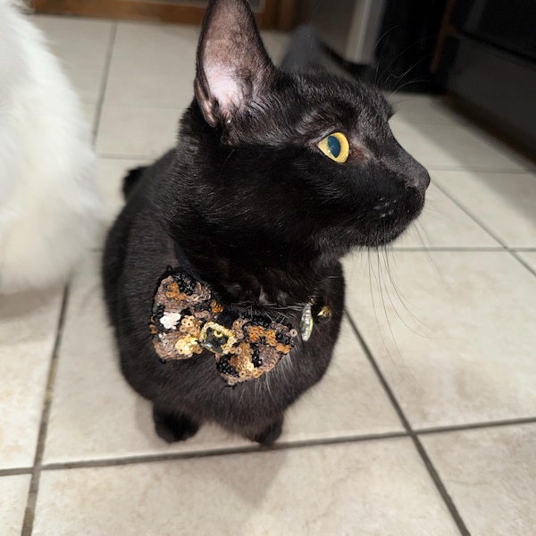 Keiko's MERMAID WHIMSICAL Cape - Cat Costume, Dog Outfit, Gatsby Cape ...