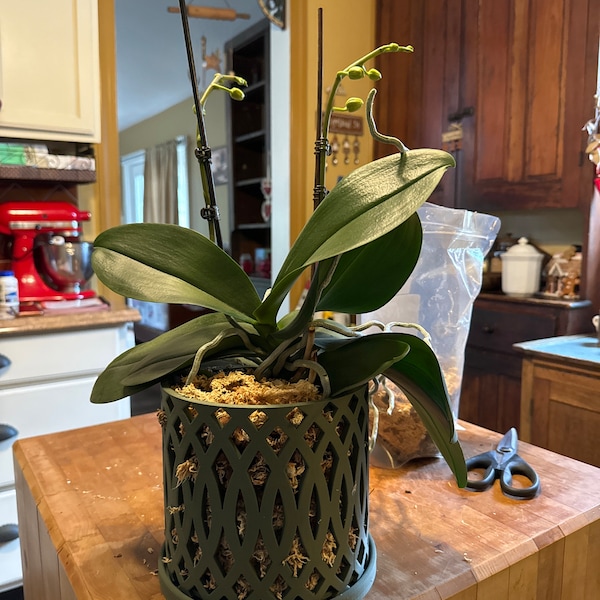 Orchid Pot, Unique Plant Pot With Drainage Holes and Saucer, 3D Printed ...