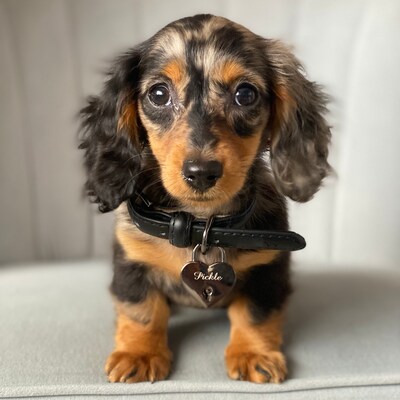 Engraved Cake Slice Server Personalised Custom Wedding - Etsy UK
