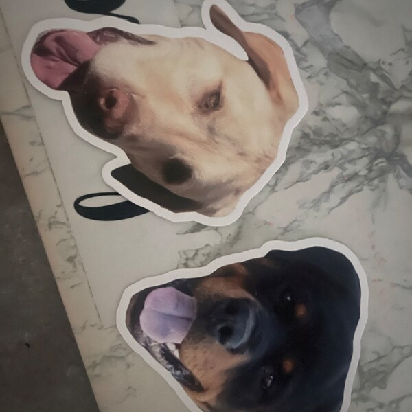 Custom Pet Sticker, Animal Sticker, Personal Sticker, Photo Pet Sticker ...