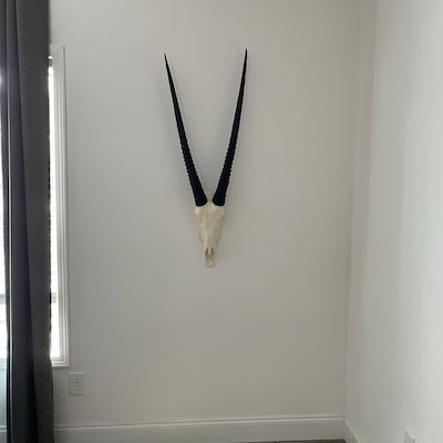 Large Male AFRICAN LION SKULL Replica Taxidermy Home Decor Interior ...