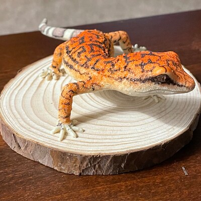 Baby Turtle Figurine . 3cm Length , Cute Turtle - Etsy