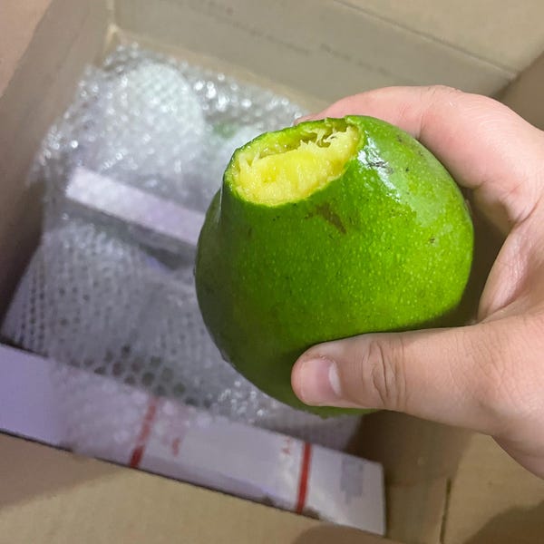 5 Felt Food Corn, Play Kitchen, Felt Food Toy, Pretend Food for Play ...