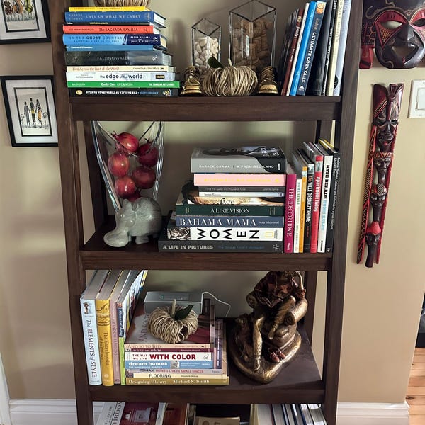 16" Light Pink Billy Buttons, Pink Dried Craspedia, Pink Billy Balls ...