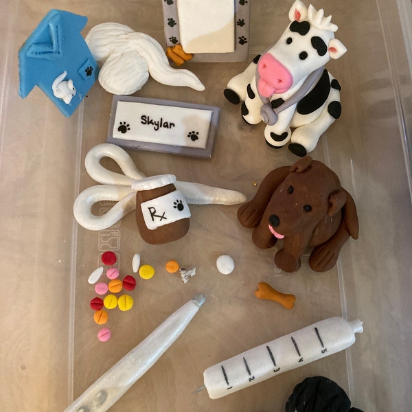 Fondant Vet Cake Topper - Vet Cake Decoration - Vet Cake - Veterinarian ...