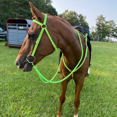 Custom Finesse Loop Reins, Finesse Style Yacht Rope Reins, Rope Reins ...