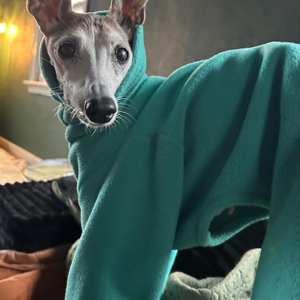 Italian Greyhound Sun Hats & Matching Tops - Etsy