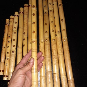 Egyptian Professional Kawala Qawwāl Ney Nay Flute Woodwind FULL Set 12 ...