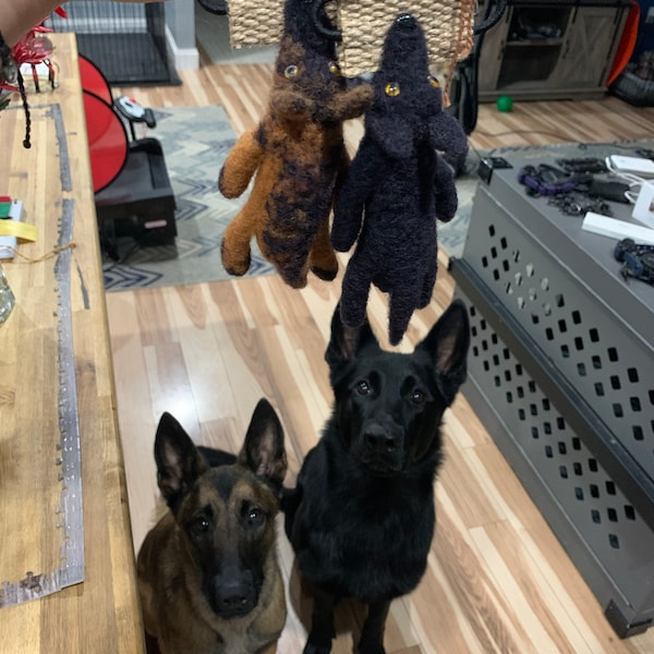 Learn to Needle Felt Salmon Tutorial, PDF File, Download Digital File ...