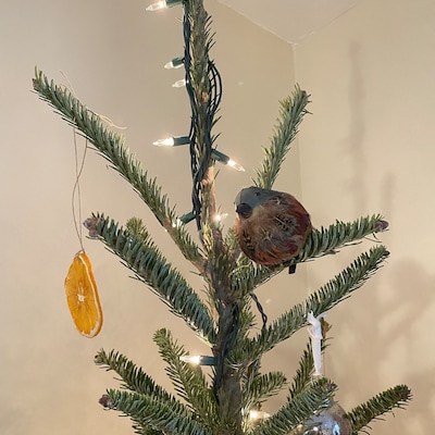 Lotus Pod Head Sets of 12 Head - Etsy