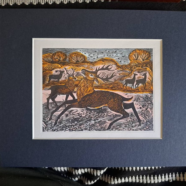 Custom Multiple Opening Single Mat Matboard for Picture and Certificate ...