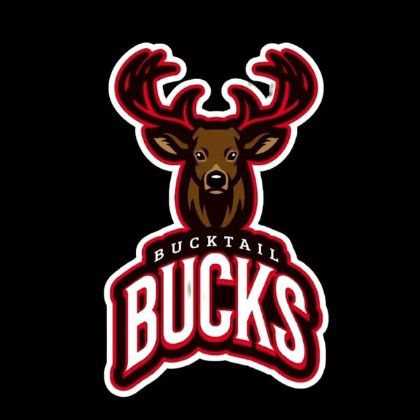 Custom Game Boy Advance SP Blastoise Shell - Etsy