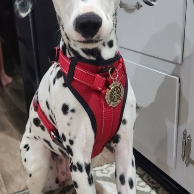 K9 Officer Police Badge Dog Tag-custom Engraved Dog Collar Tag-law ...