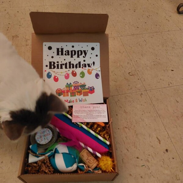 Christmas Cat Toy Gift Box - Etsy