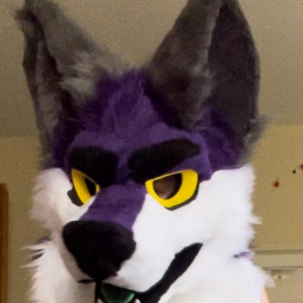 0.45mm White PVC Fursuit Eye Mesh - Etsy