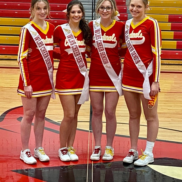 Custom Cheer Sassy Sash / School Cheer / Prom Sash / Cheerleader Sash ...