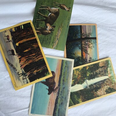 Old Postcards Unused Assortment of Random Vintage Post Cards From ...