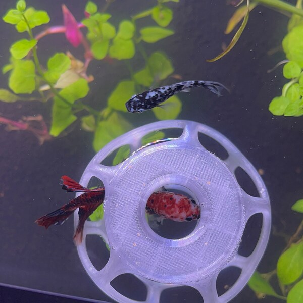 Betta Lair, Aquarium Swim Through Cave Decoration for Aquatic Pets ...